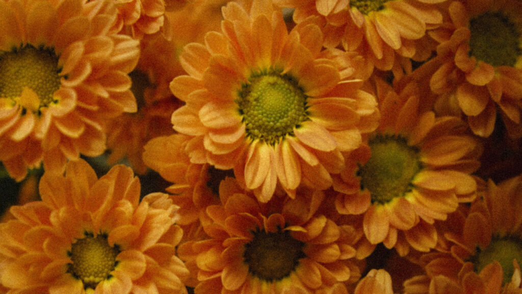 Multiply What God Gives You | The Bible Daily Network