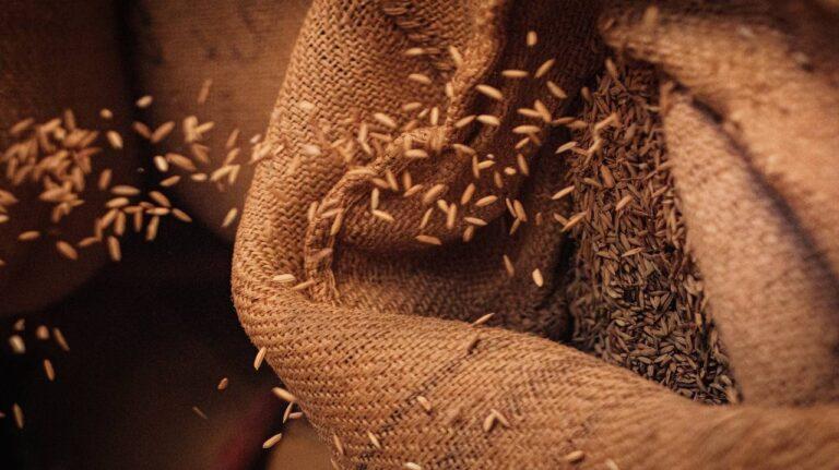 Sowing and Reaping | The Bible Daily Network