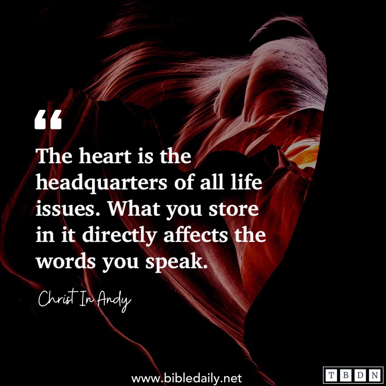 Keep Wise Teachings at Heart | The Bible Daily Network