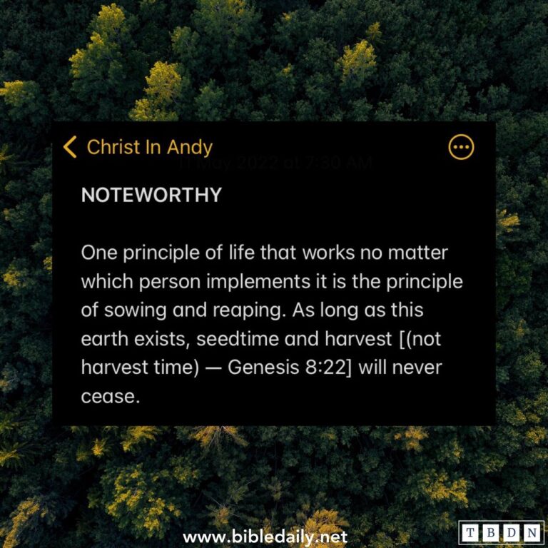 Sowing and Reaping | The Bible Daily Network