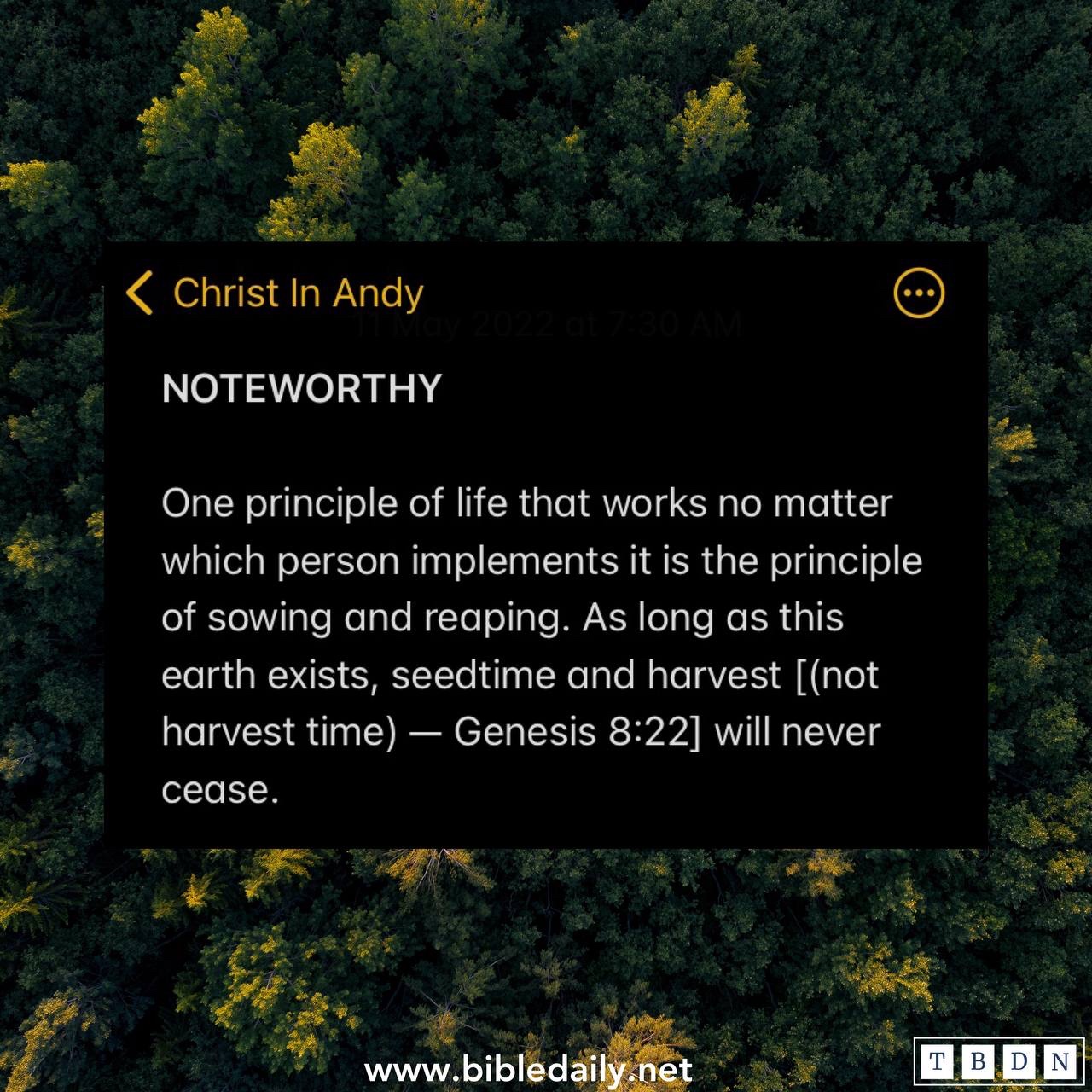 Sowing and Reaping | The Bible Daily Network