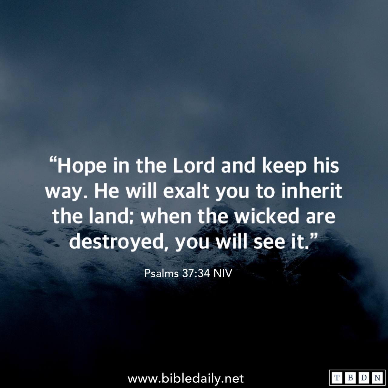 Hope in the Lord | The Bible Daily Network