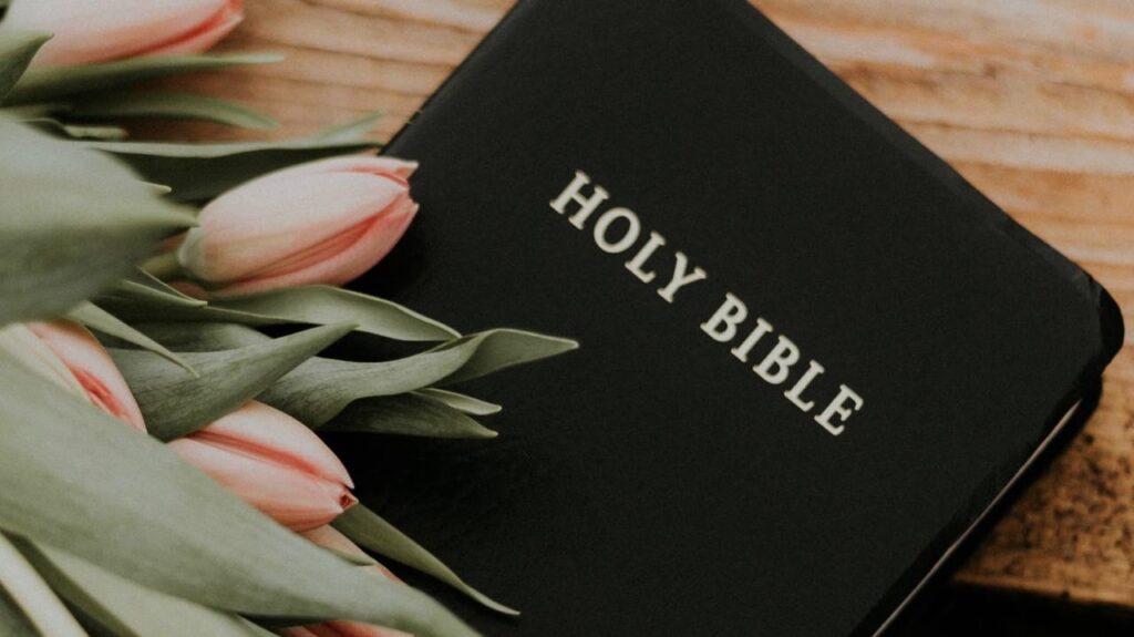 Spiritual Food | The Bible Daily Network