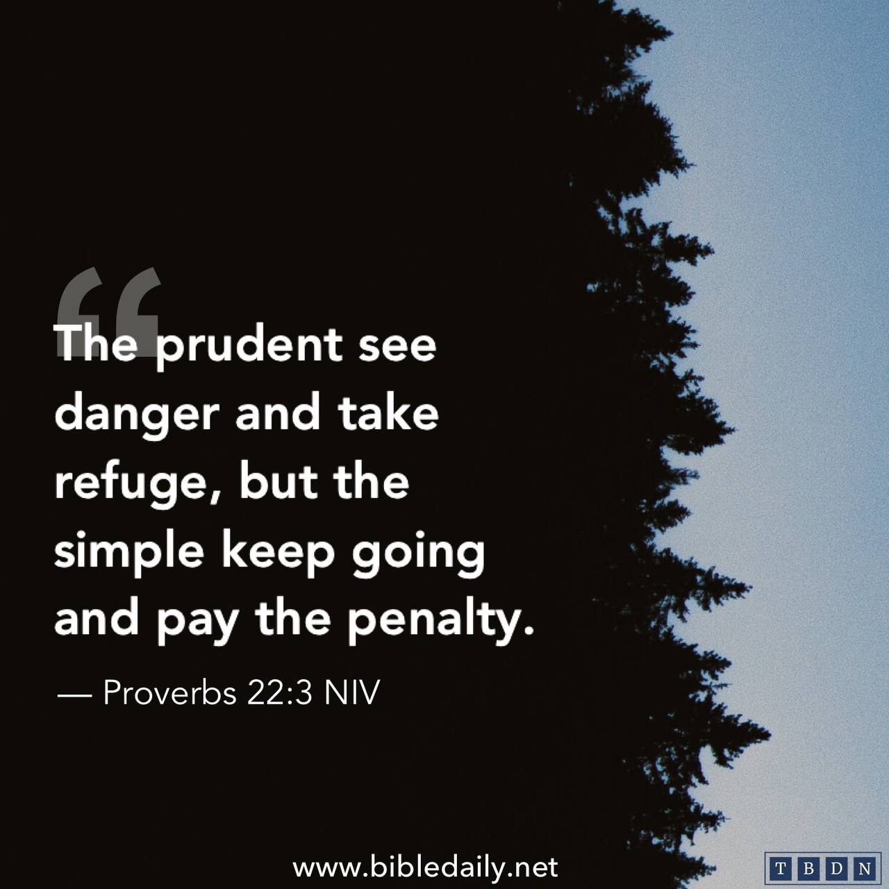 Take Refuge by Seeing Ahead | The Bible Daily Network