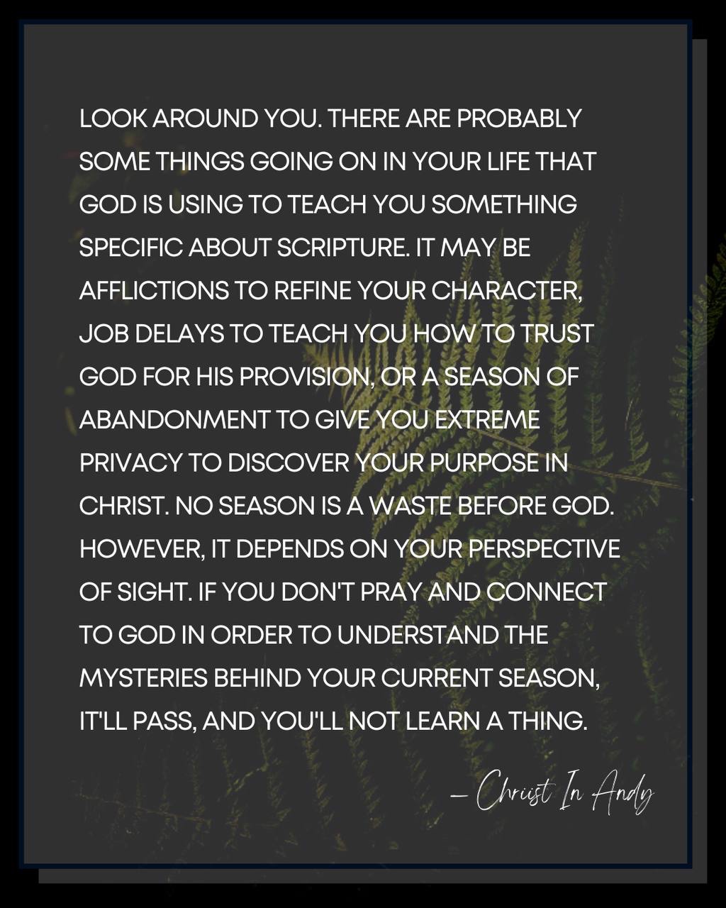 Give Me Understanding According to Your Word, Lord | TBDN