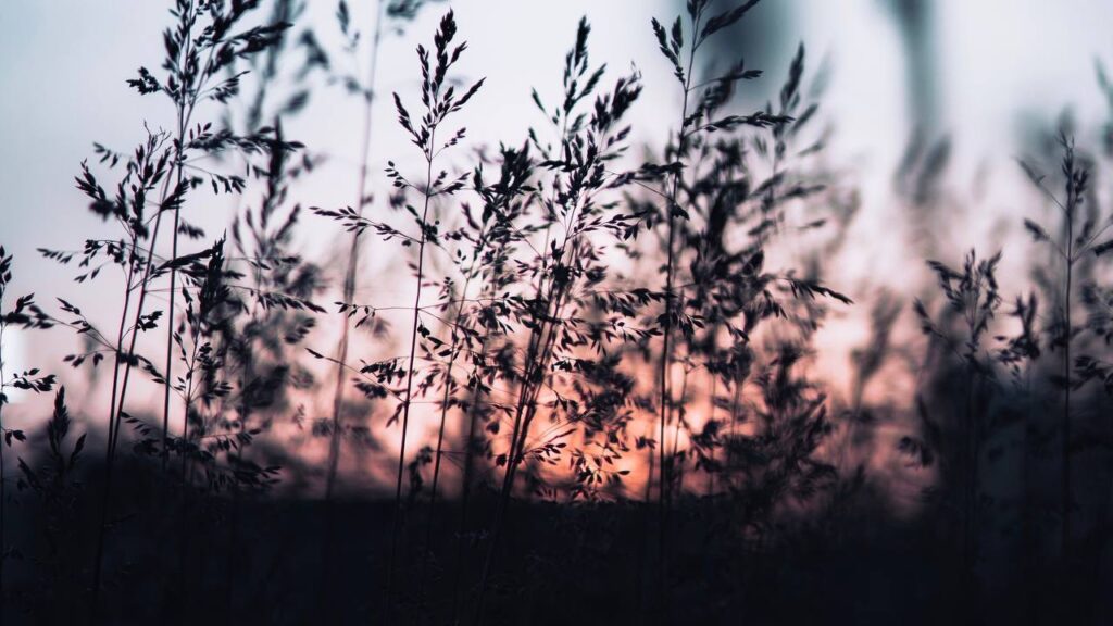 God Does Not Change | The Bible Daily Network