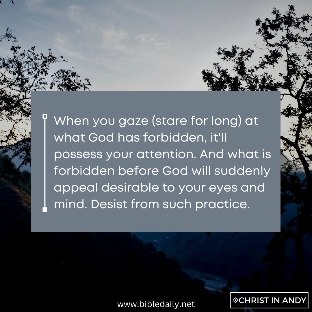 Are You Gazing at What God Has Forbidden?