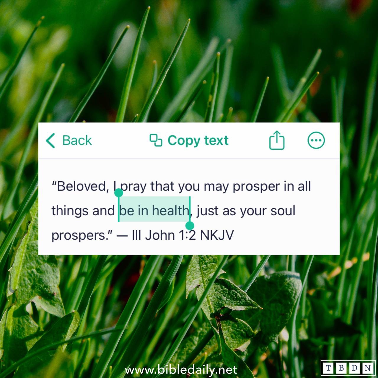 God Wants You to Be in Health | The Bible Daily Network