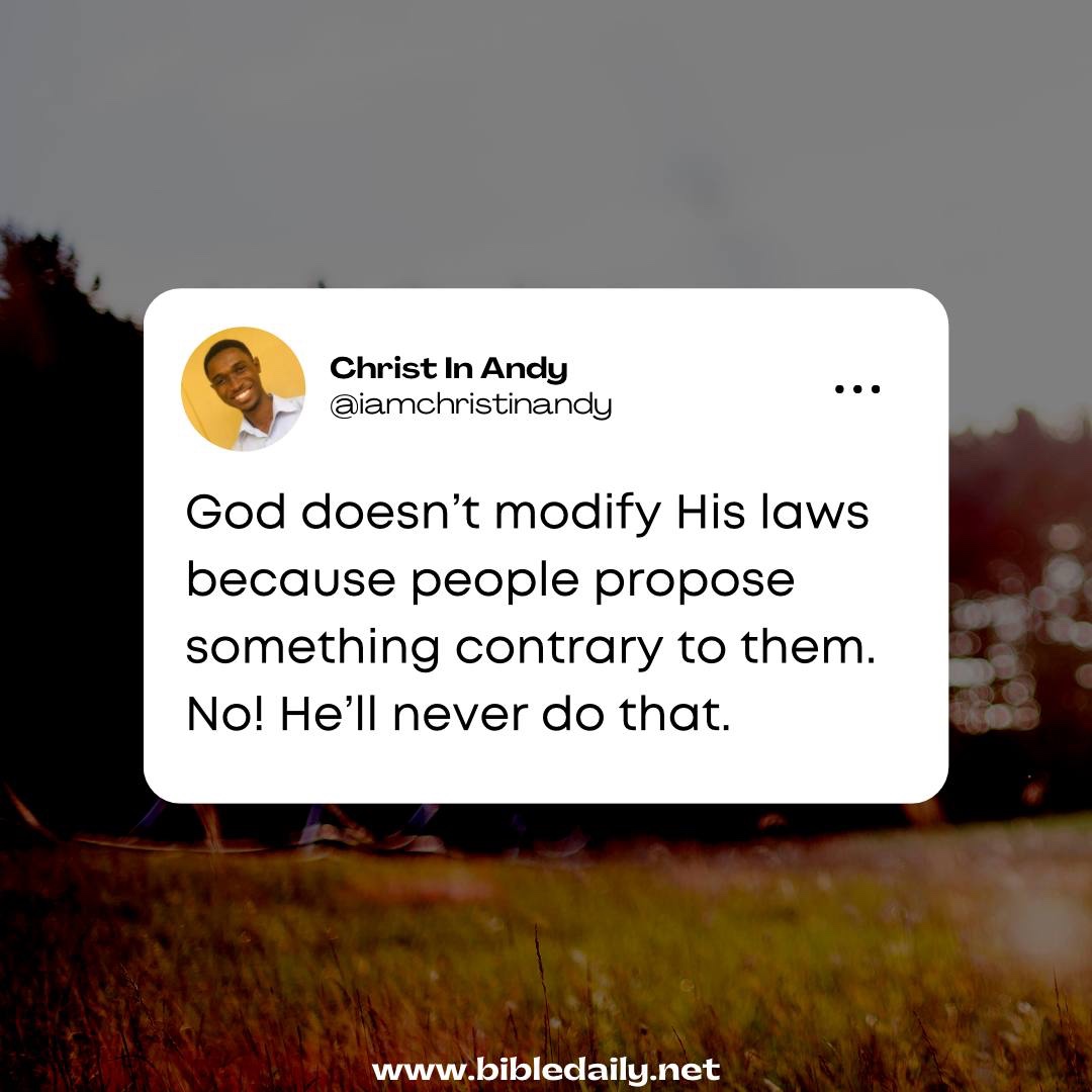 Let All Things Be Done Decently and in Order | TBDN