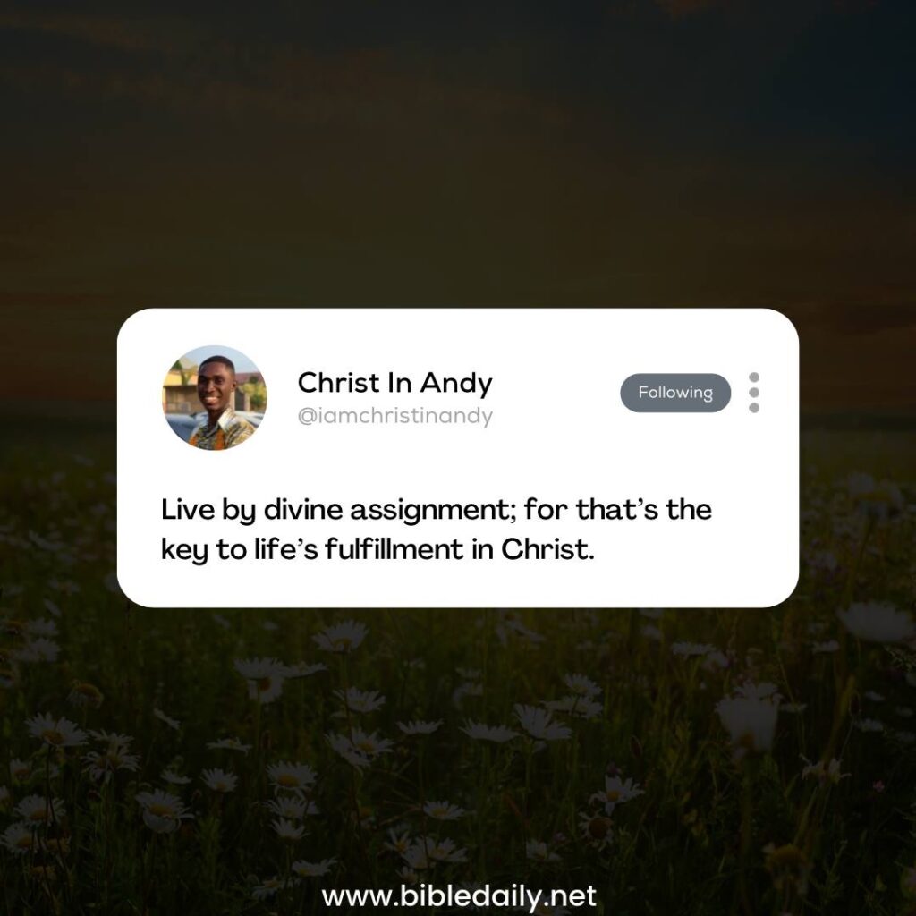 The Key to Life’s Fulfilment in Christ | The Bible Daily Network