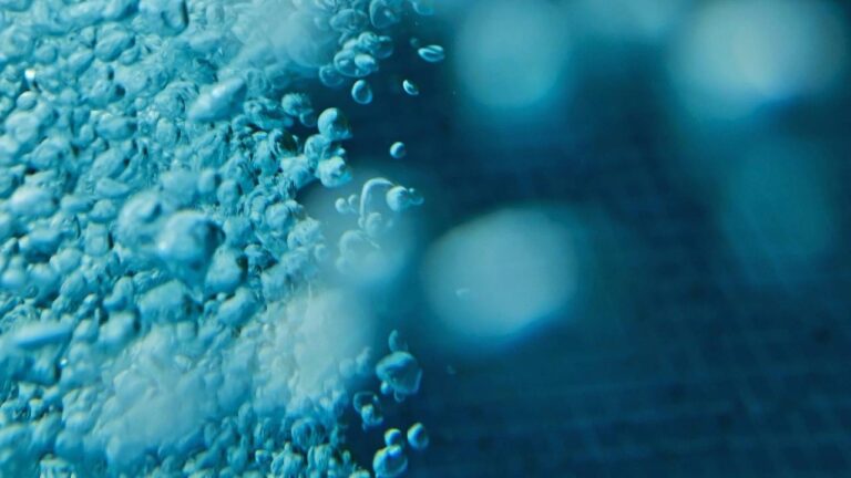 Keep Yourself Pure | The Bible Daily Network