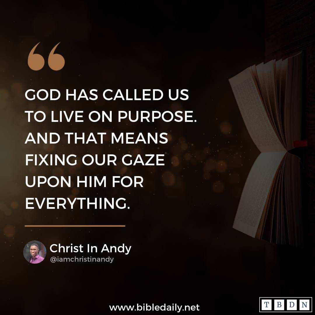 Three Things That Choke God’s Word in the Heart of the Believer