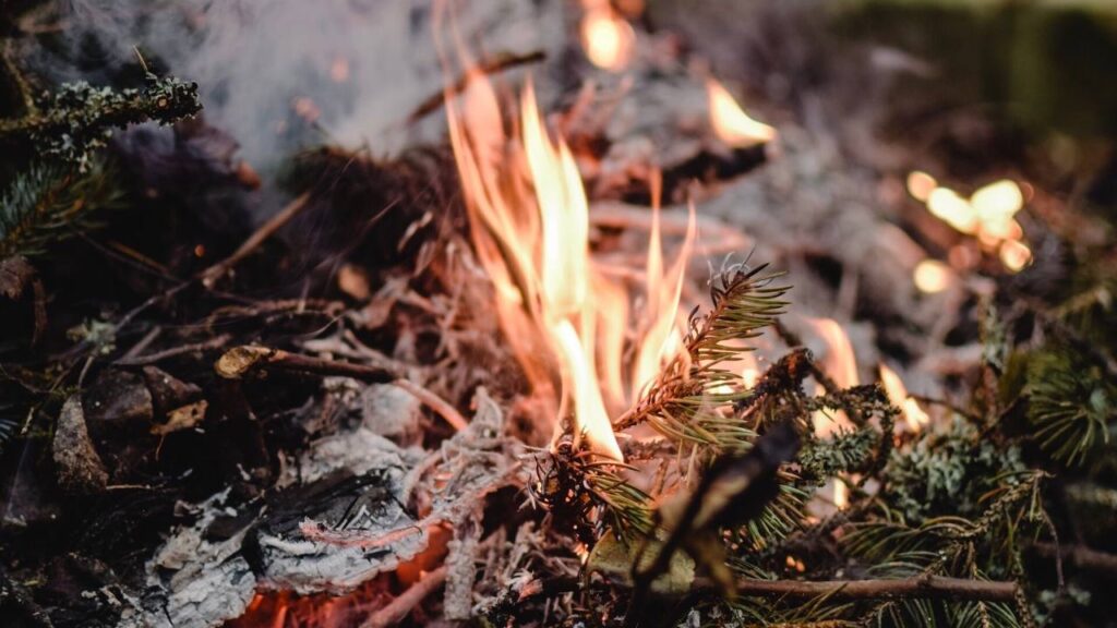 God Will Give You Beauty for Ashes | The Bible Daily Network