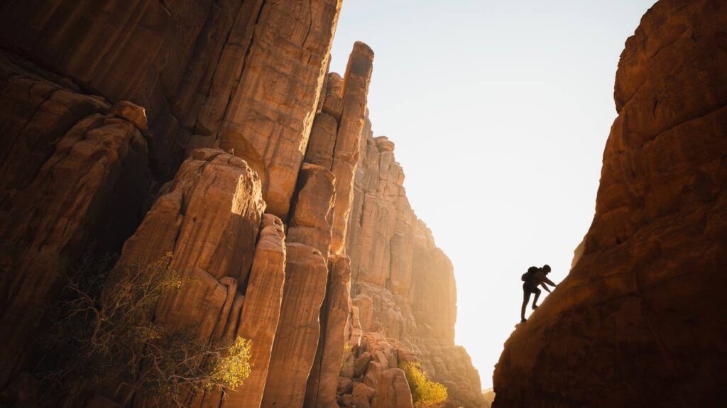 What Drives You — God or Your Desires? | The Bible Daily Network