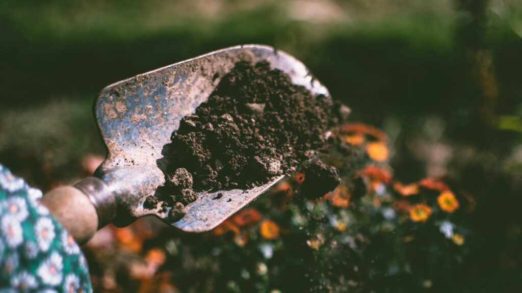 Dig Deep into Your Life | The Bible Daily Network