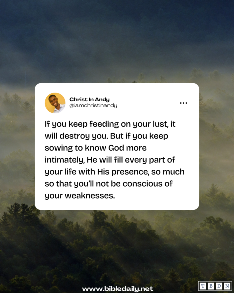 Are You Completely Guiltless Before God? | The Bible Daily Network