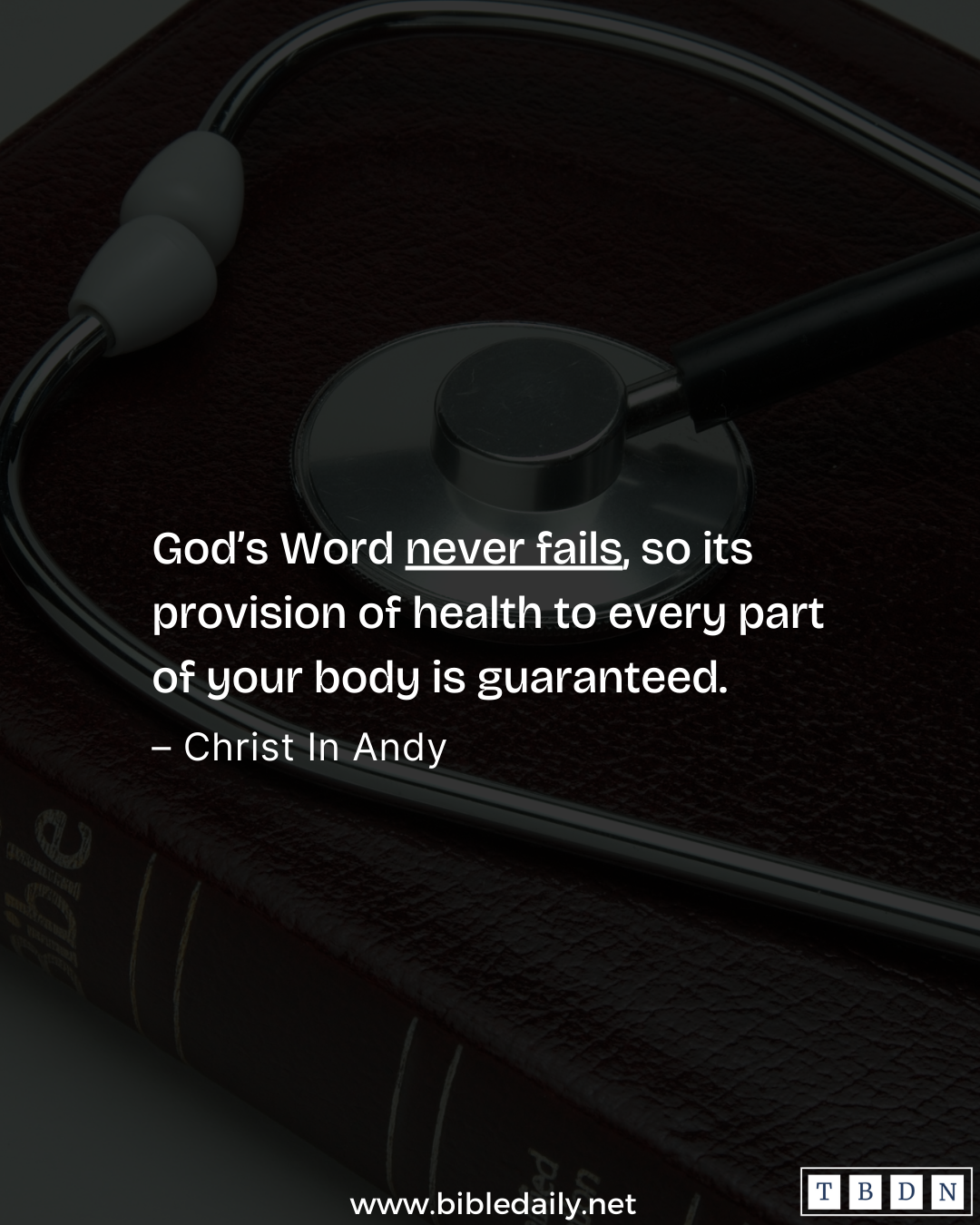 God’s Word Is Health to All Your Flesh | The Bible Daily Network
