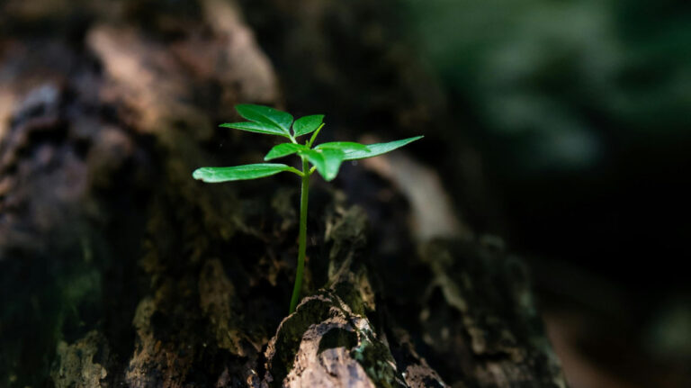 The Word of God Is Alive | The Bible Daily Network