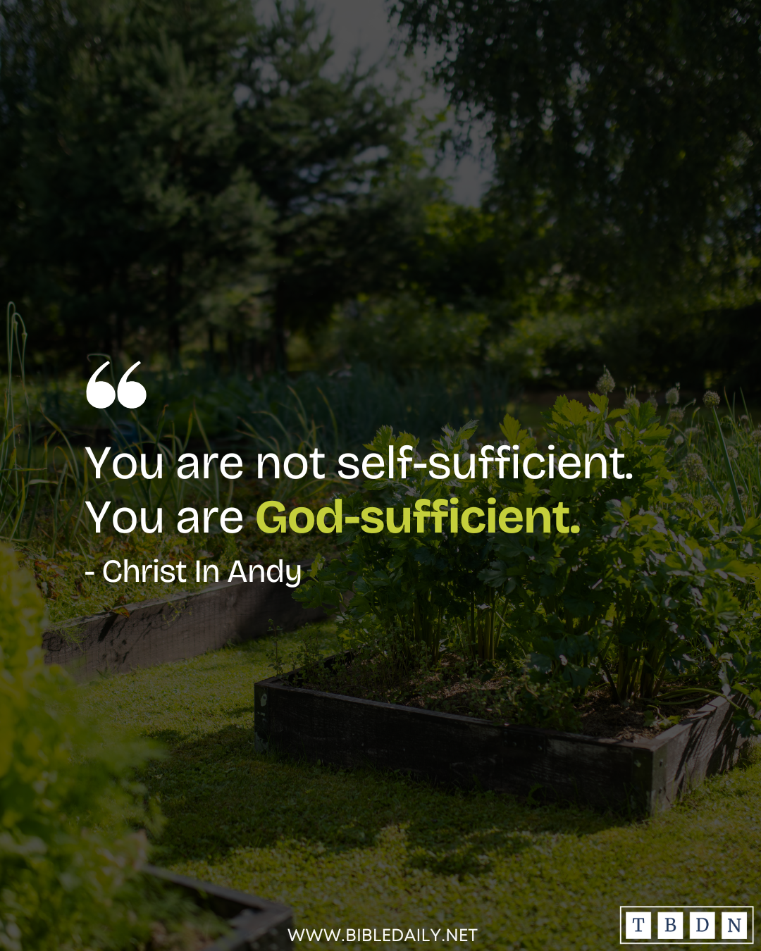 Ask for Grace for a New Year | The Bible Daily Network