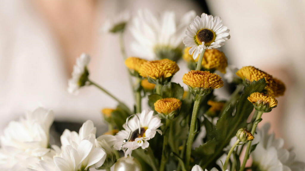 Get Rid of All Bitterness | The Bible Daily Network