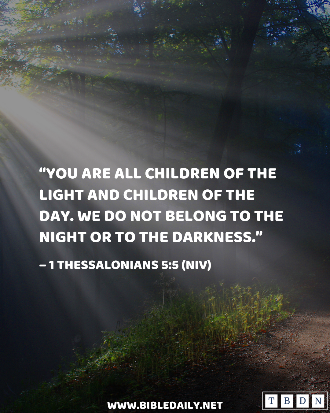 You Are a Child of the Light | The Bible Daily Network