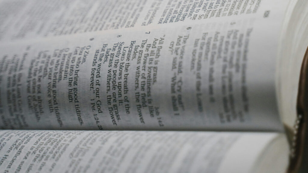 Let the Message of Christ Dwell in You Richly | The Bible Daily Network