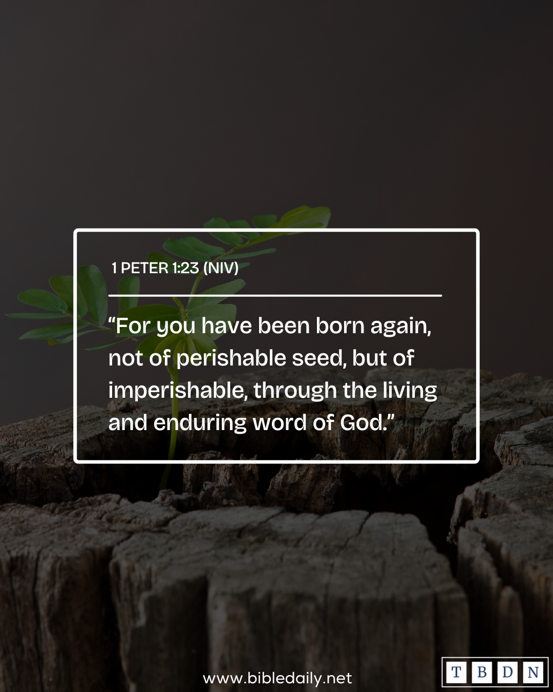 The Word of God Is Imperishable | The Bible Daily Network