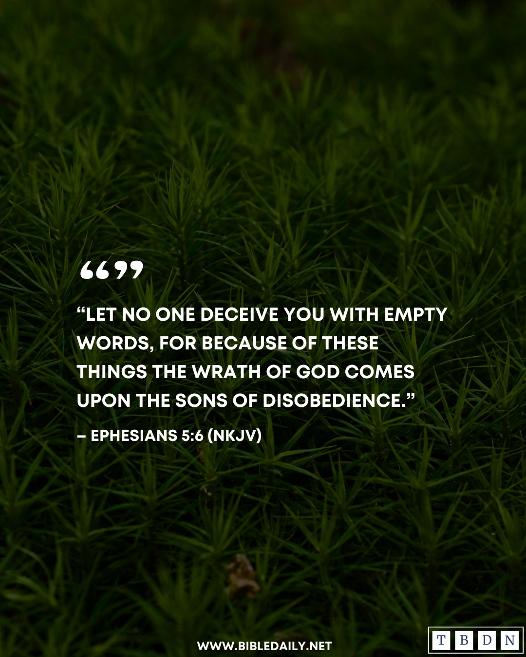 Let Nobody Deceive You with Empty Words | The Bible Daily Network