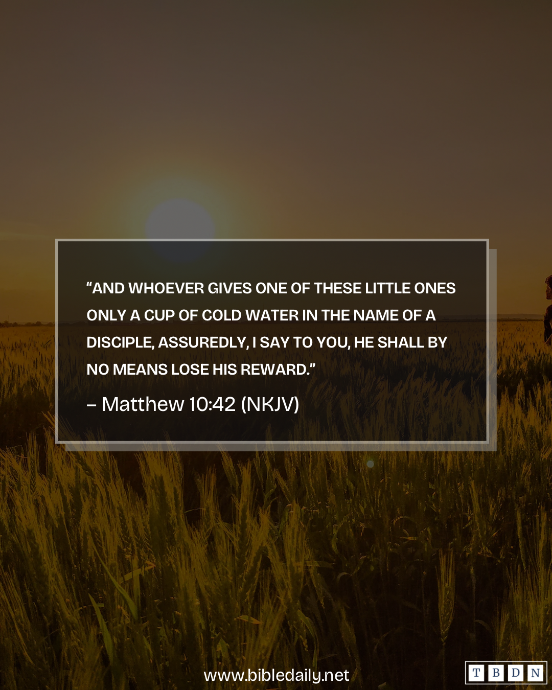 You Will Not Lose Your Reward for Supporting God’s Servants | The Bible ...