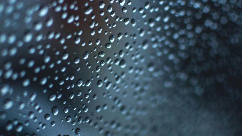 Bless Those Who Persecute You | The Bible Daily Network